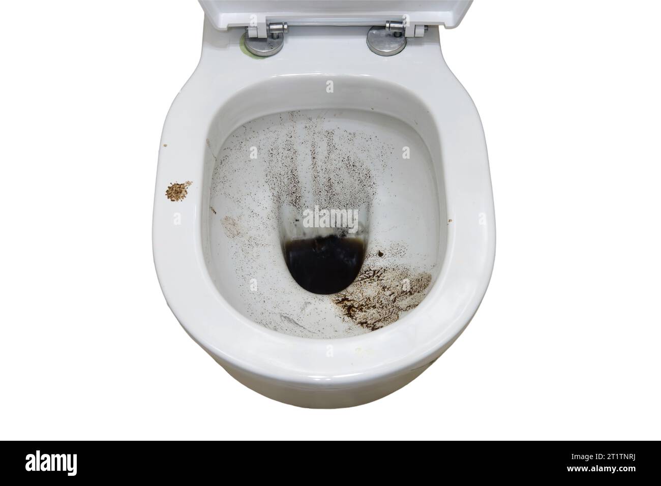 The bathroom had a clogged drain that required immediate attention ...