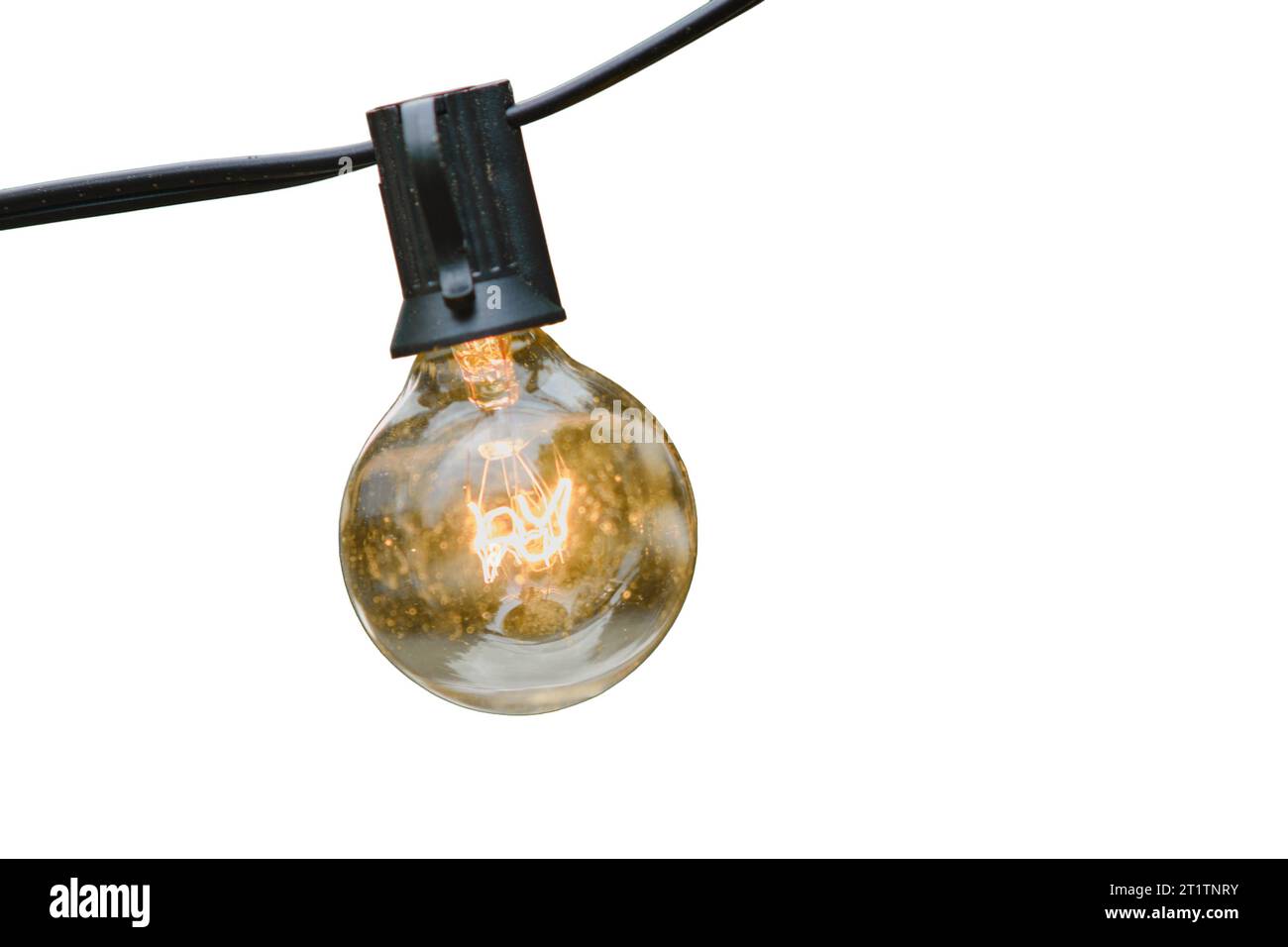 A bright electric lamp illuminates the green nature, creating a ...