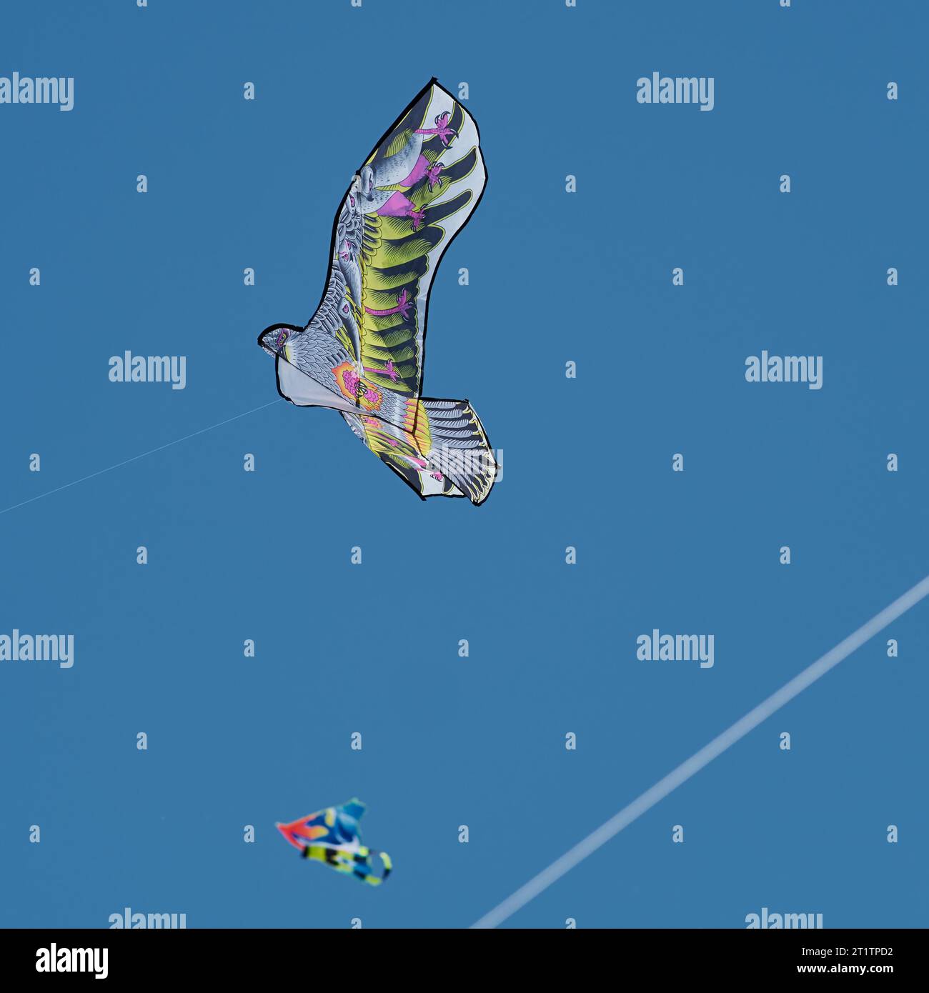 An outdoor kite flying festival. Kites are launched into the blue sky ...