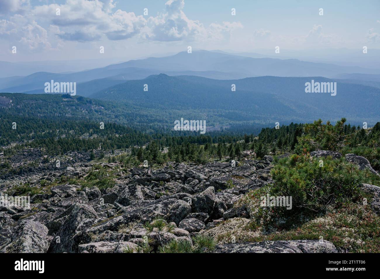 Vast Siberian taiga with hills stretching beyond the horizon. Stones ...