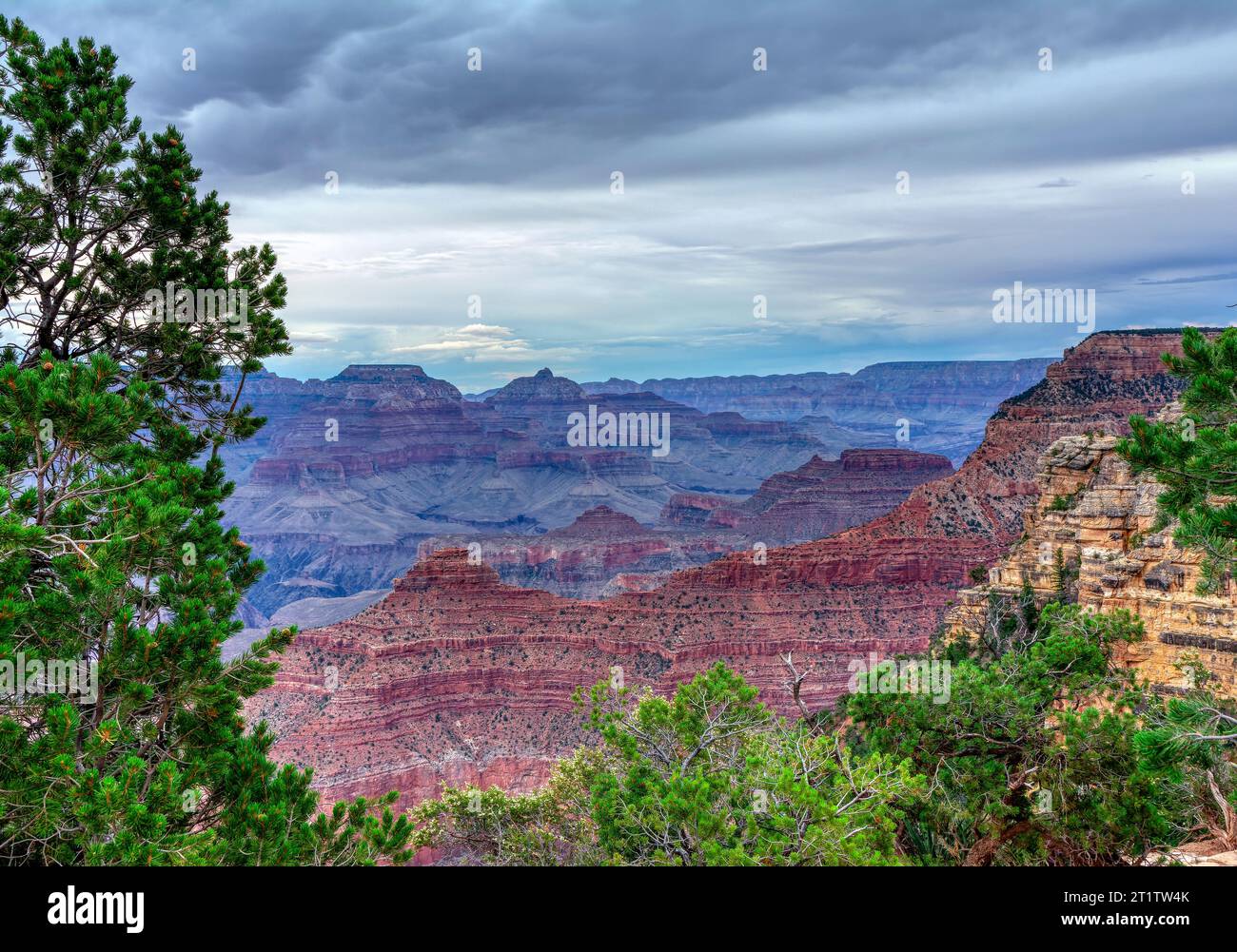 South Rim Grand Canyon, Arizona, USA Stock Photo - Alamy