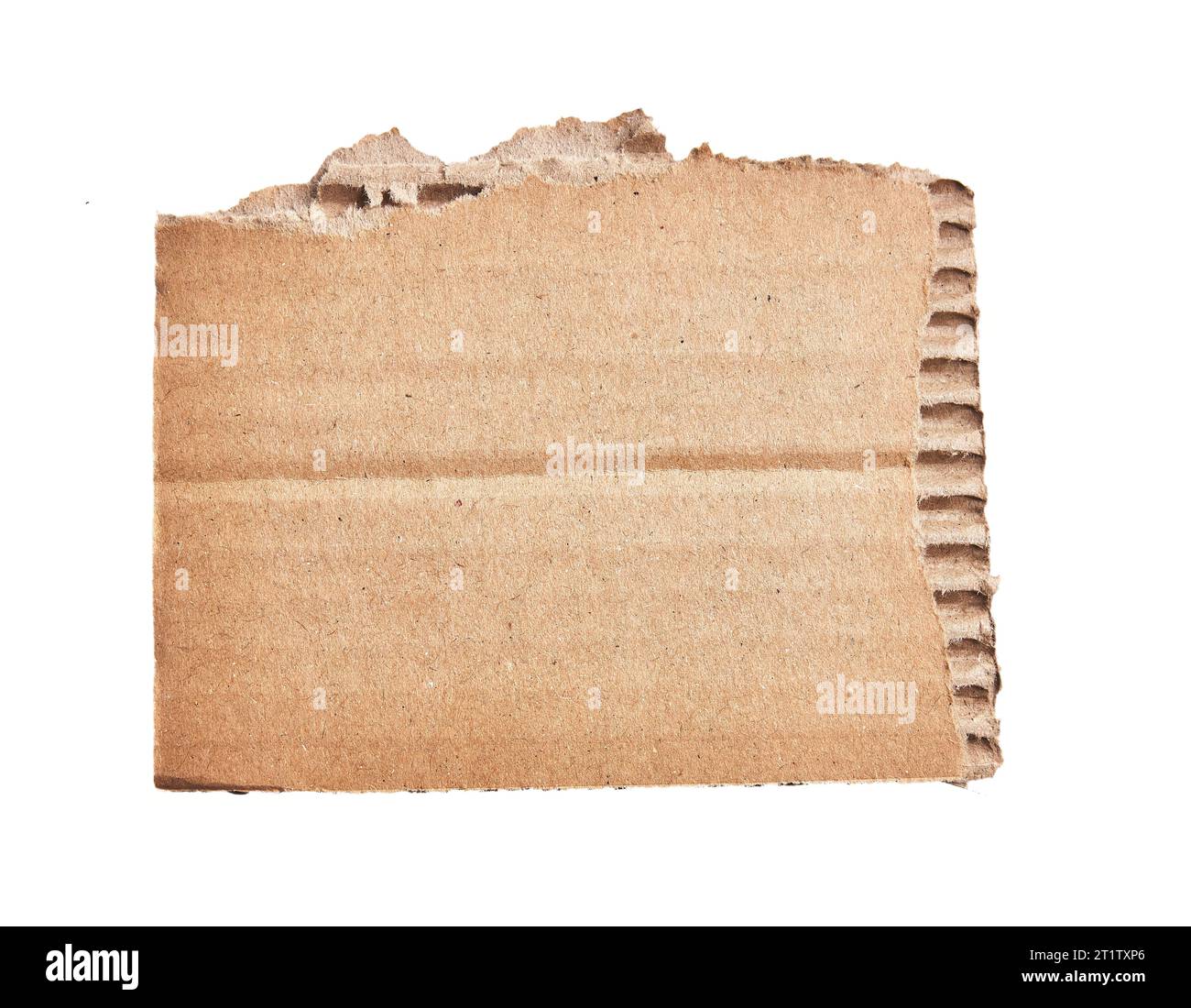 One ripped piece of cardboard material over isolated white background ...