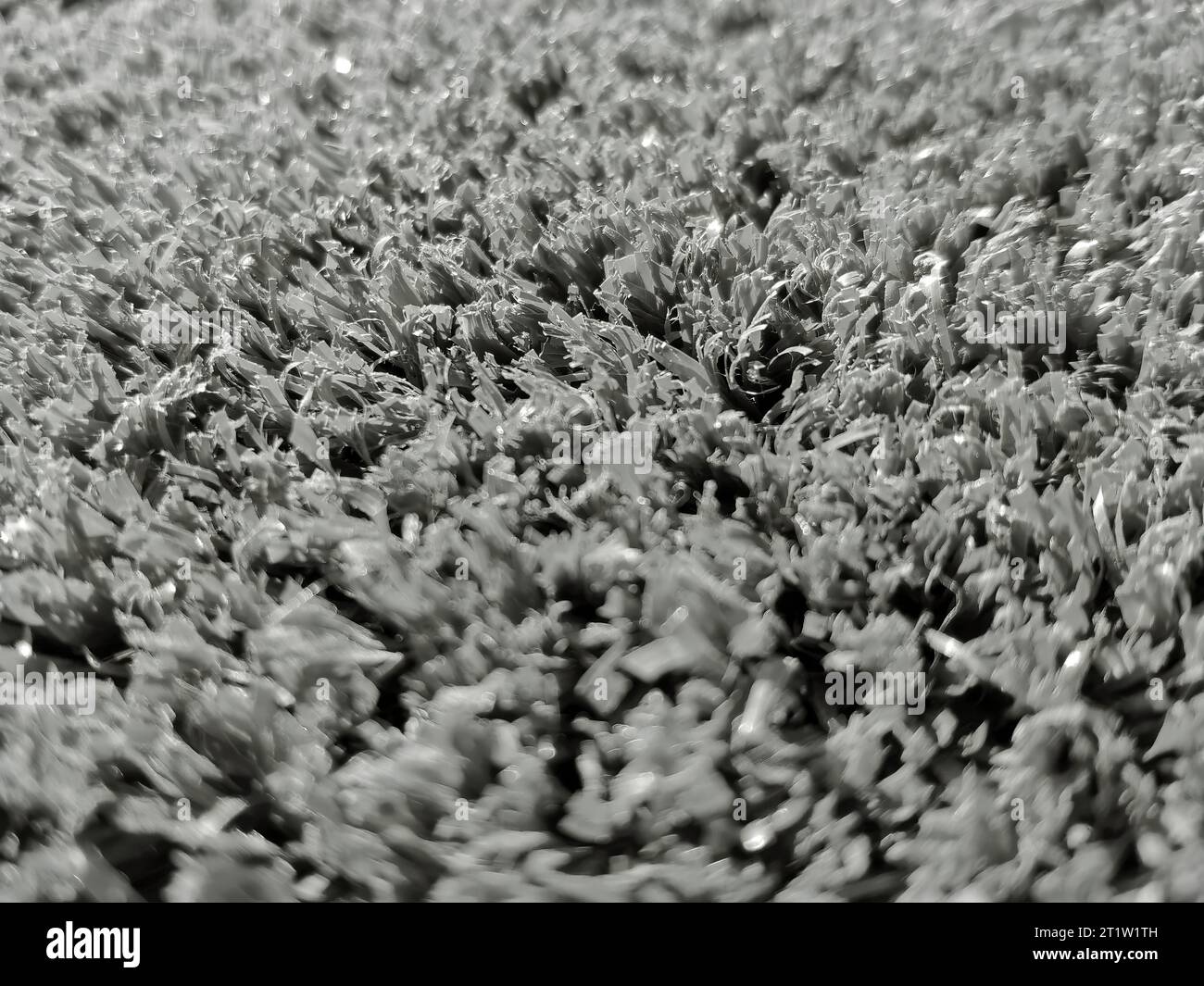 Black and white grass background close view, grayscale grass photo ...