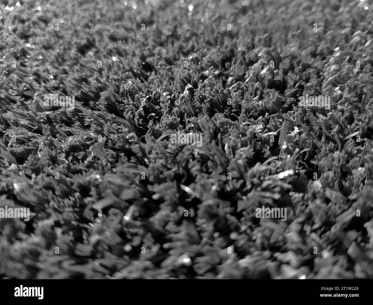 Black and white grass background close view, grayscale grass photo ...
