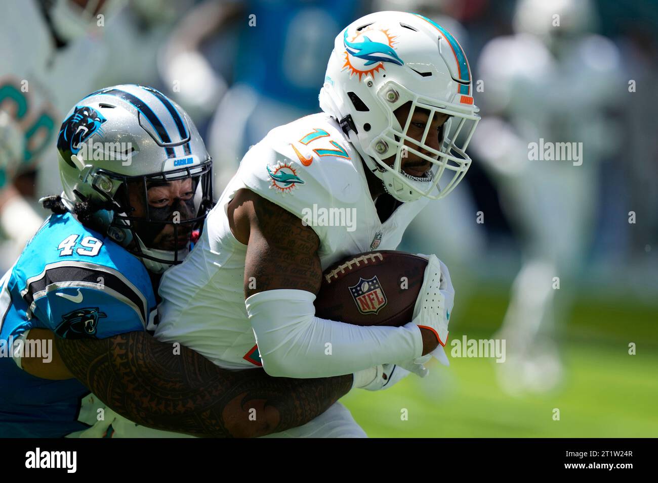 Carolina Panthers linebacker Frankie Luvu (49) grabs Miami Dolphins ...