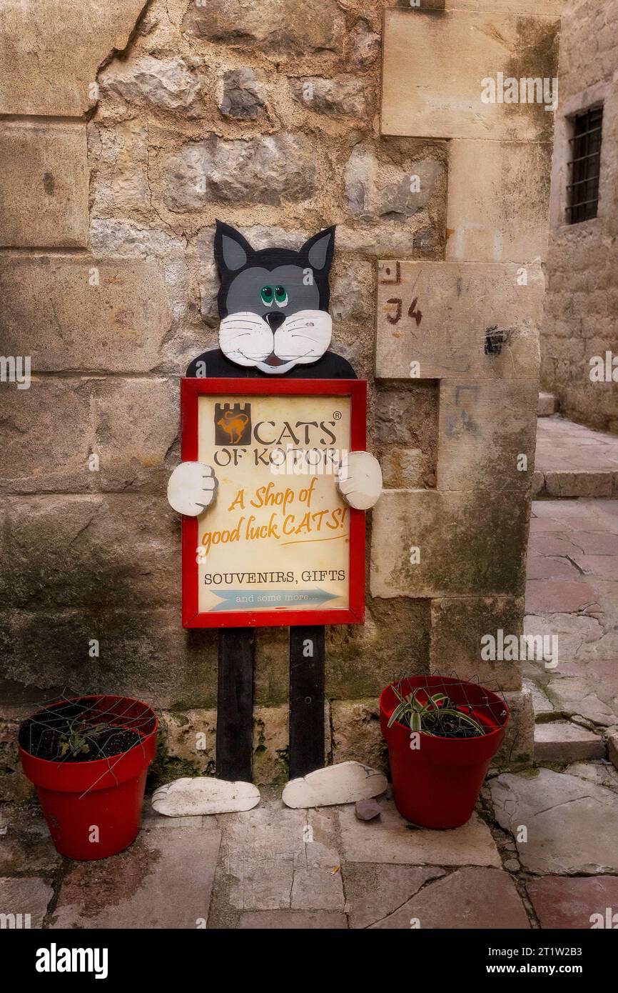 Cats of kotor sign hi-res stock photography and images - Alamy
