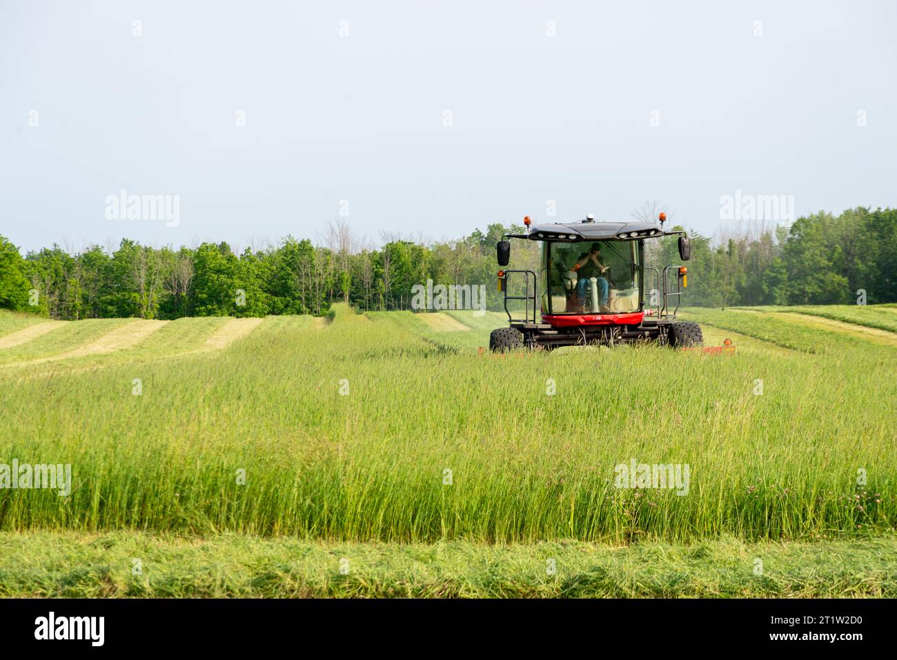 Hay cutting hay hi-res stock photography and images - Alamy