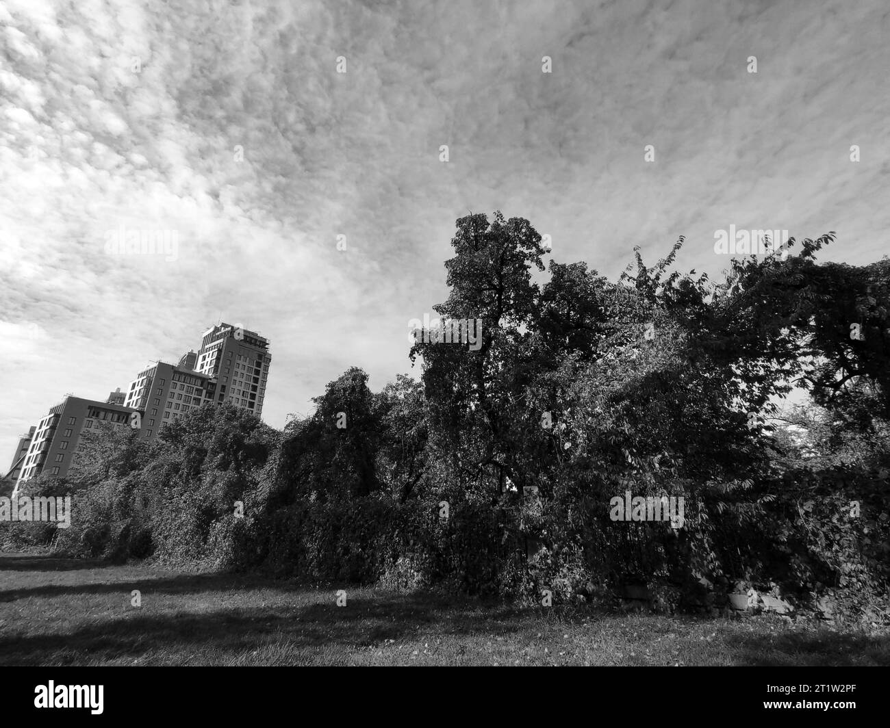 Sun beams Black and White Stock Photos & Images - Alamy
