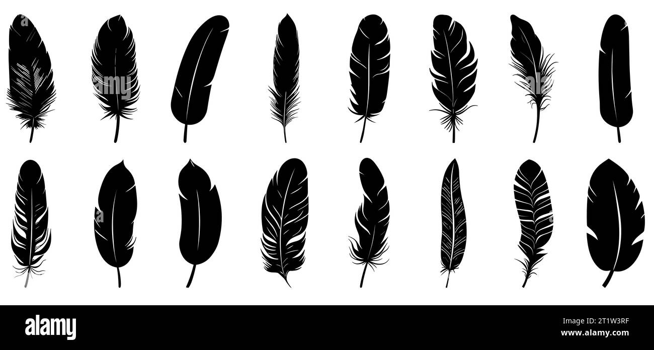 Feather black icon. Feather icons set. Various feathers. Vector ...