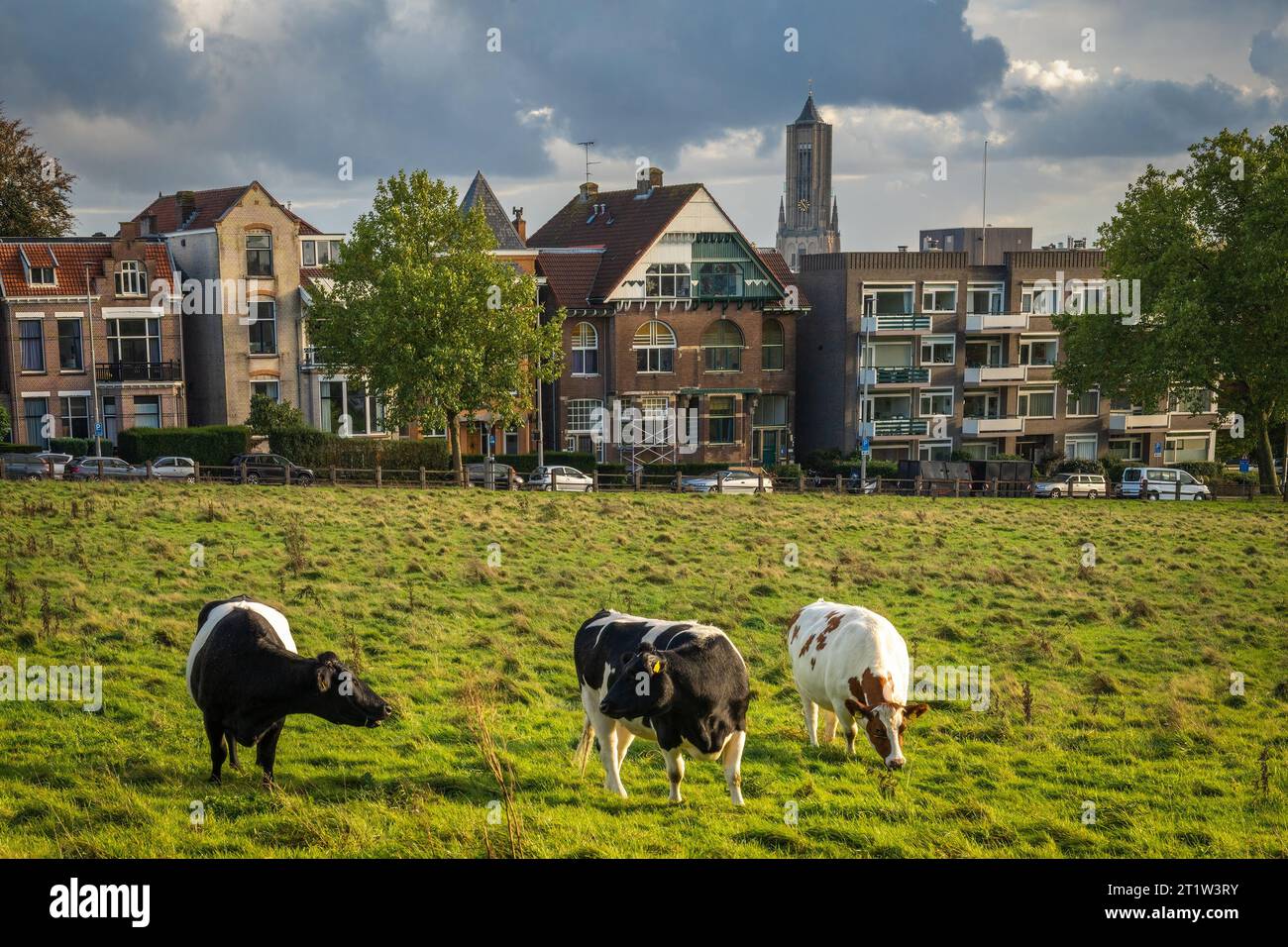 Skyline of Arnhem, Province Gelderland, The Netherlands. Tower of St ...