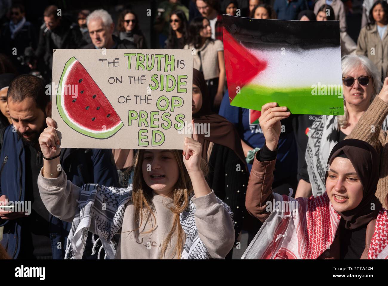Protest for Palestine after escalation of military action in the Gaza ...