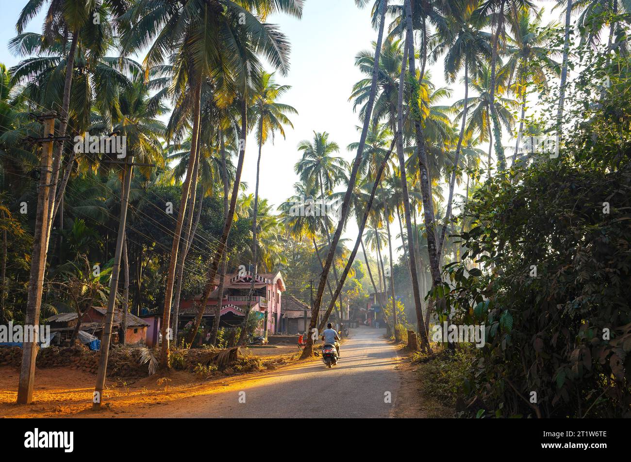 Road in the morning in Goa, Agonda village. Beautiful sunrise in the ...