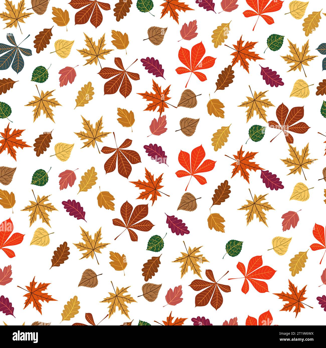 Oak leaves illustration hi-res stock photography and images - Alamy