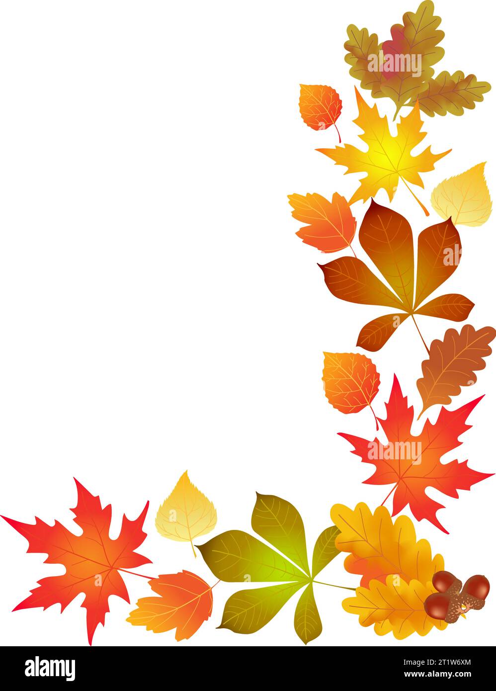 Aspen botanical illustration hi-res stock photography and images - Alamy