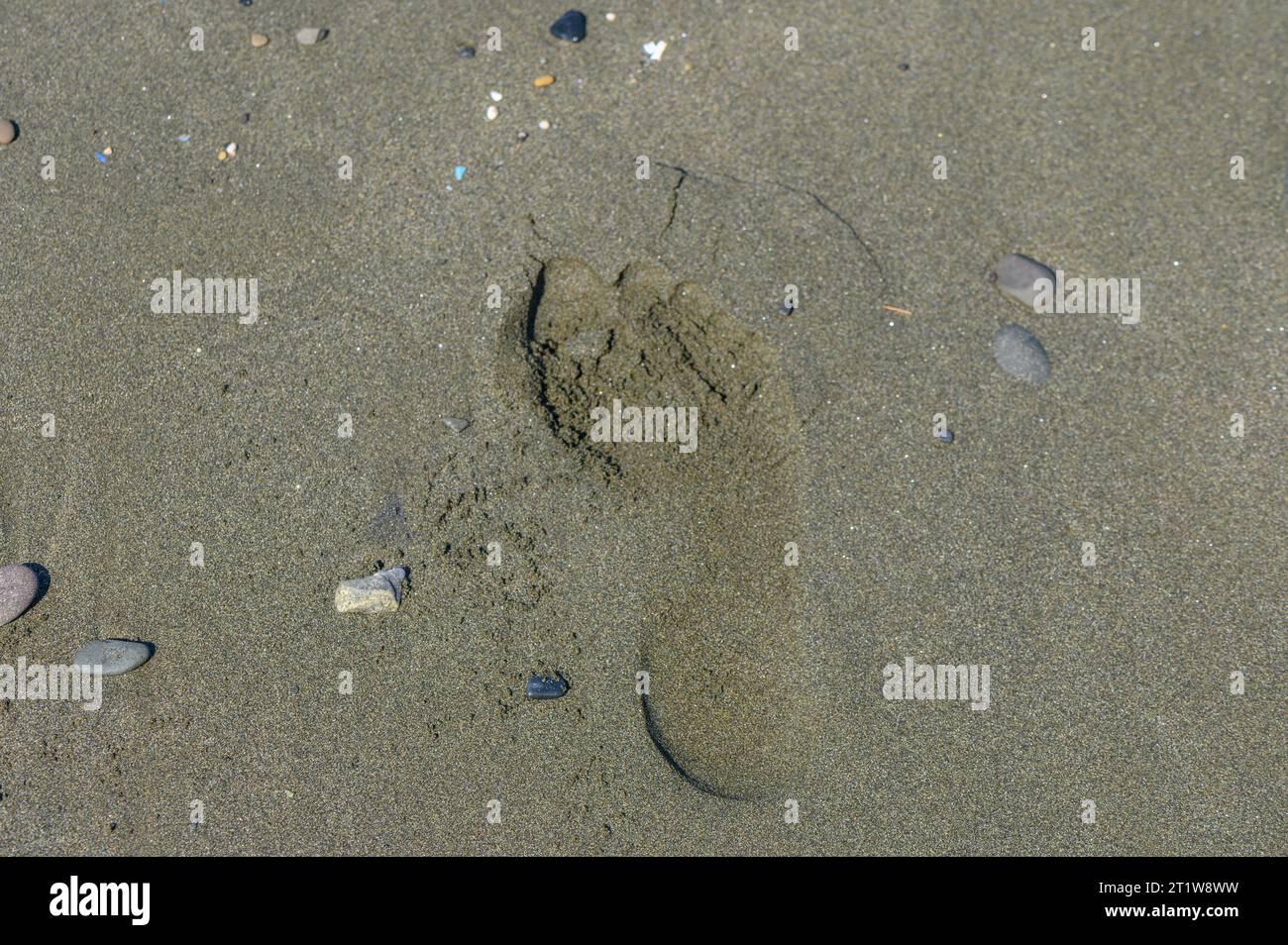 Footprint on seacoast hi-res stock photography and images - Alamy