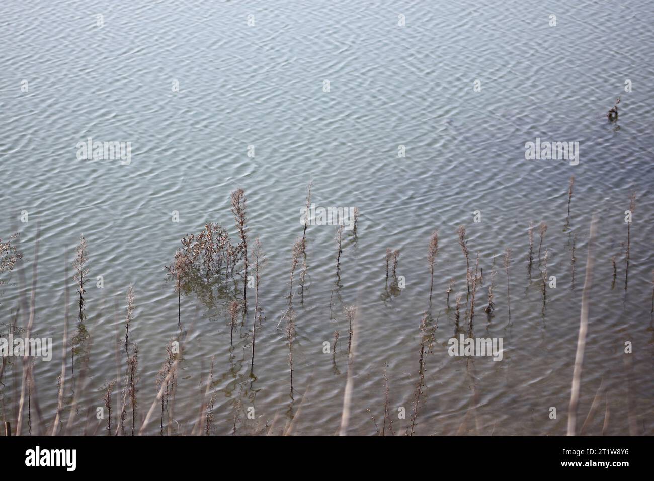 Trembling waves hi-res stock photography and images - Alamy