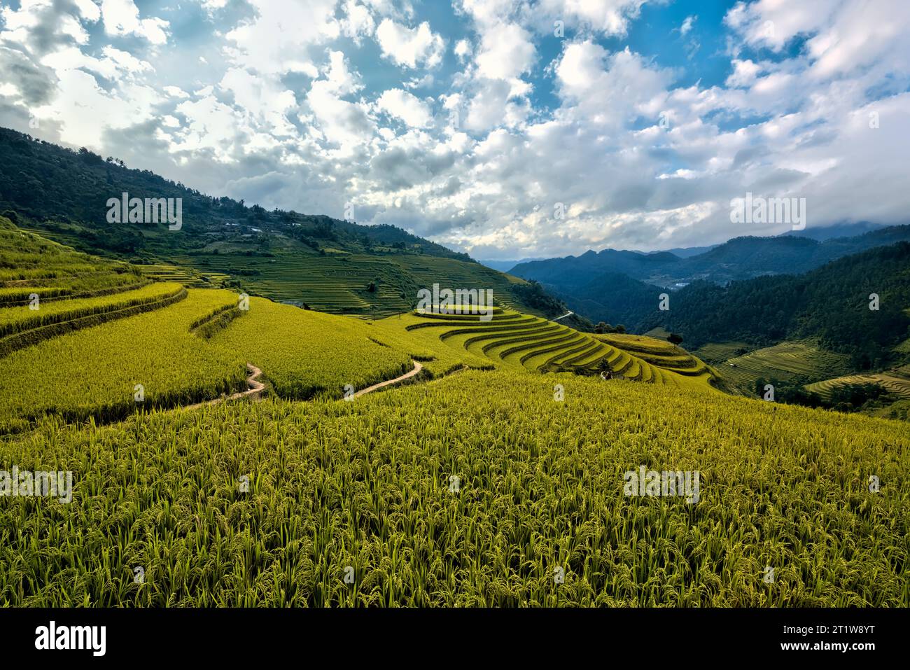 The amazing rice terraces of Mu Cang Chai, Yen Bai, Vietnam Stock Photo ...