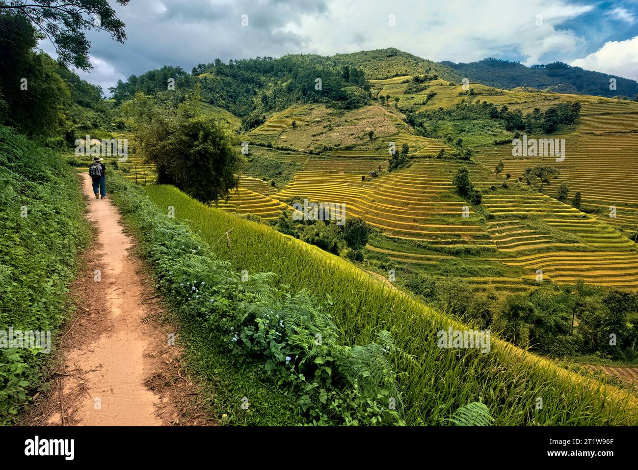 Trekking through the amazing rice terraces of Mu Cang Chai, Yen Bai ...