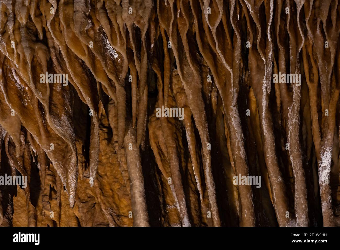 Close Up of Texture on Rippling Formation in Carlsbad Caverns Stock ...