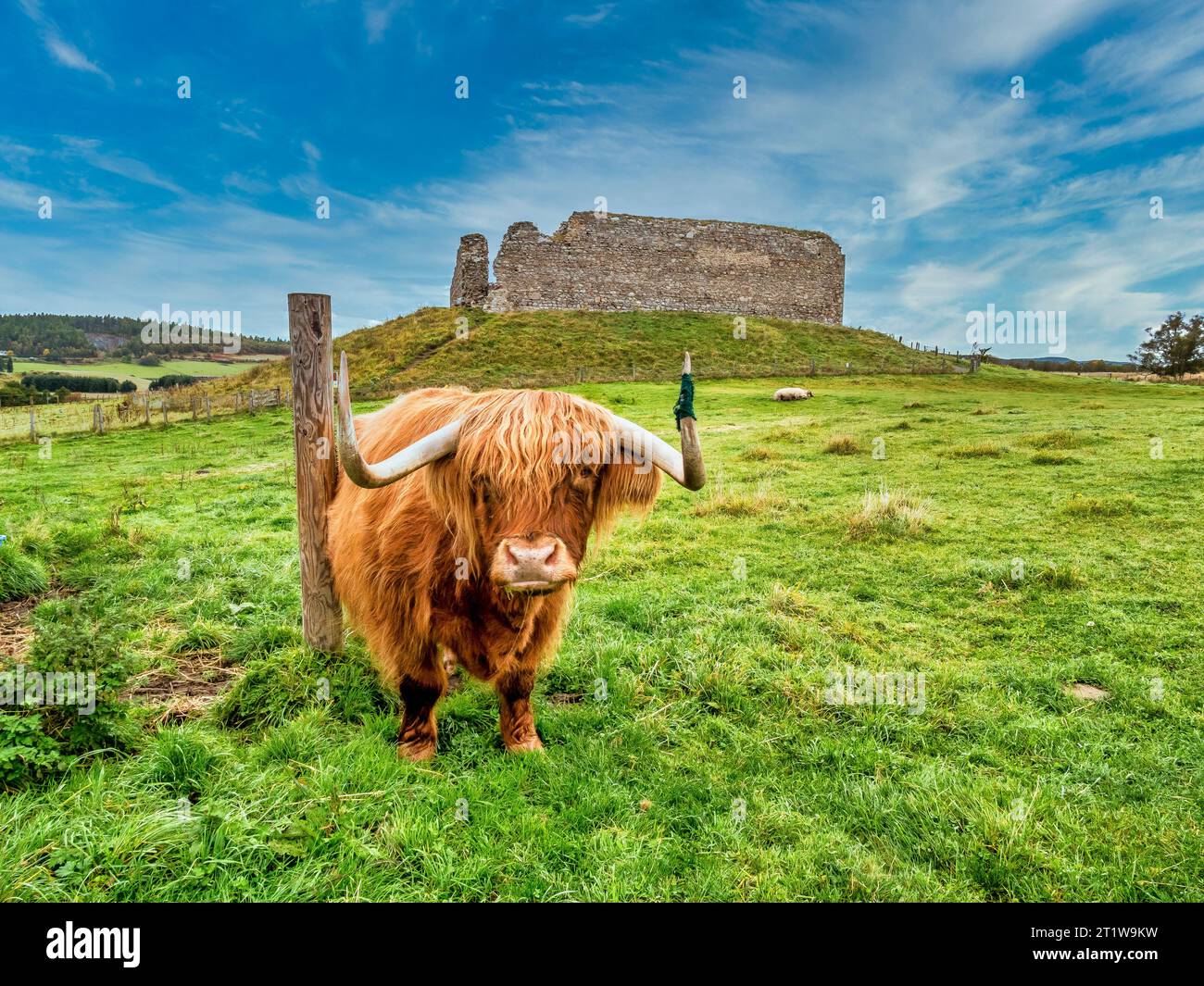 The image is of the 12th century ruin of Castle Roy fortress near the ...