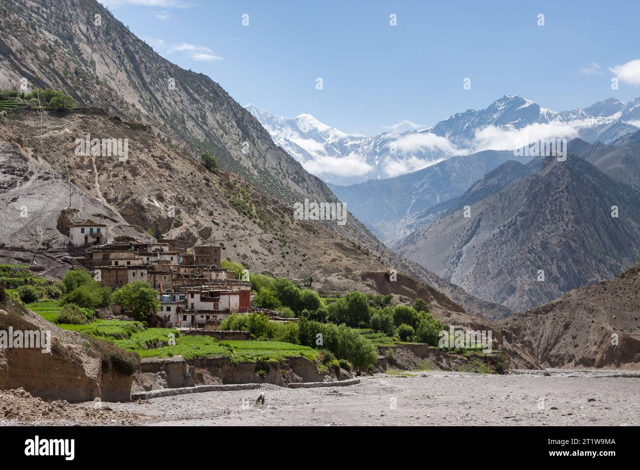 Himalayas himalayan architecture hi-res stock photography and images ...