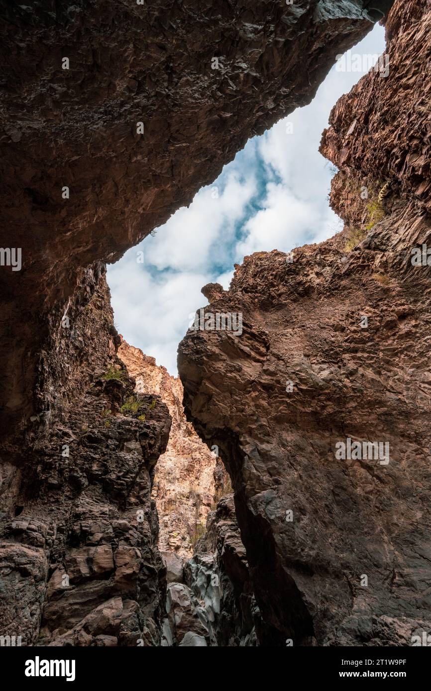 Burro wash hi-res stock photography and images - Alamy
