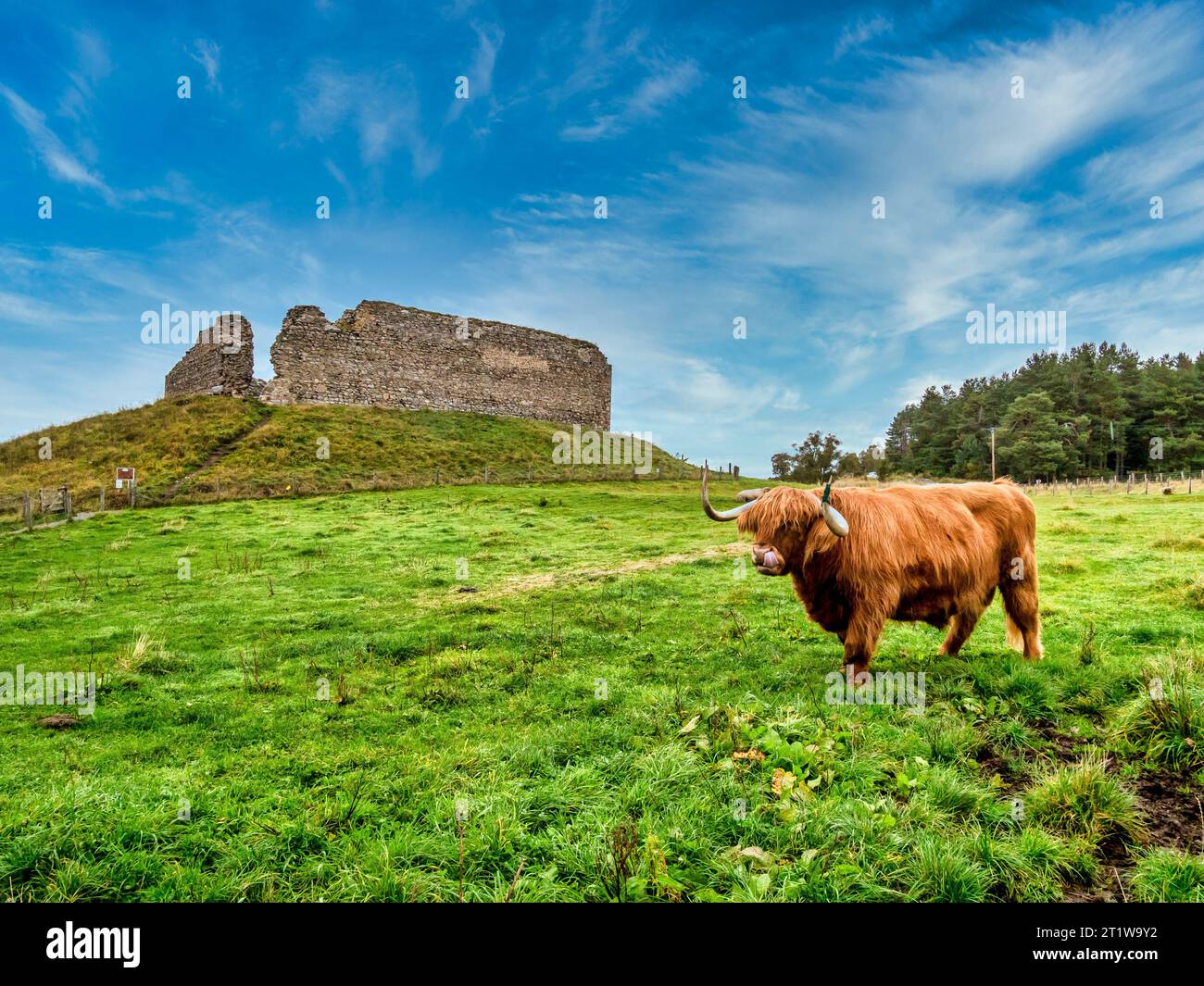 The image is of the 12th century ruin of Castle Roy fortress near the ...