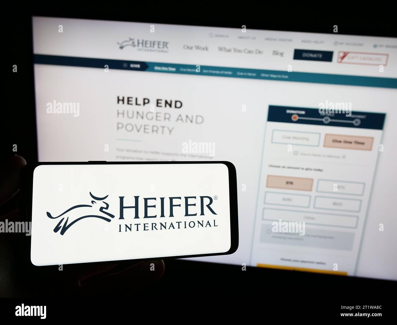 Person holding smartphone with logo of development organization Heifer ...