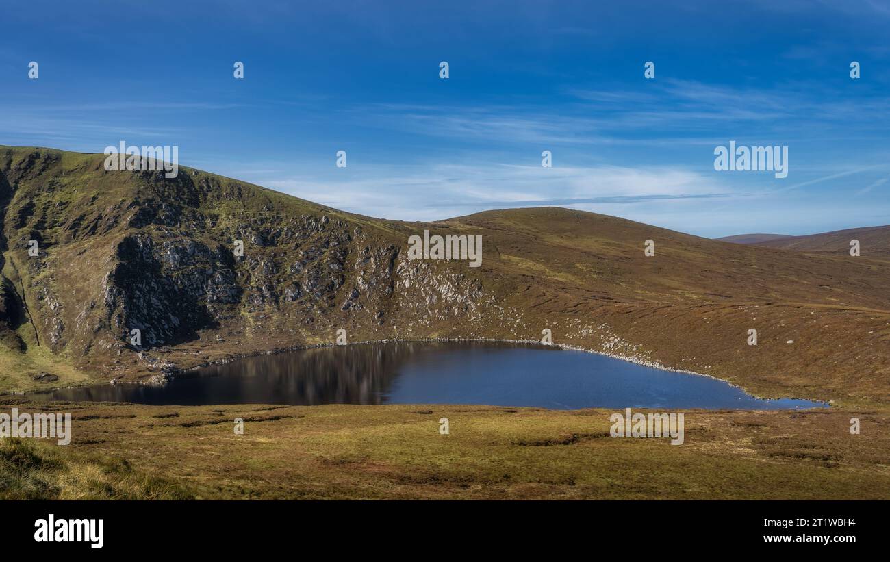 Ferns and heart shaped rock hi-res stock photography and images - Alamy