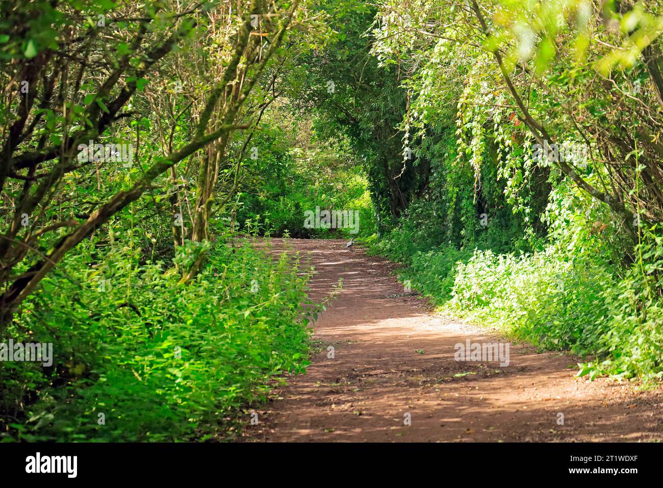 Summer 2023 hi-res stock photography and images - Alamy