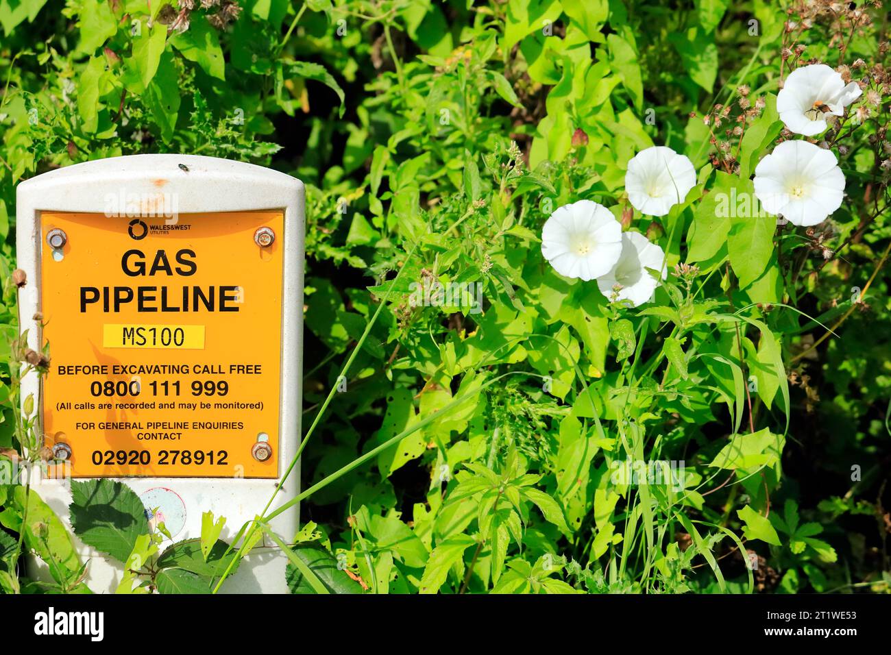 Pipeline marker hi-res stock photography and images - Alamy