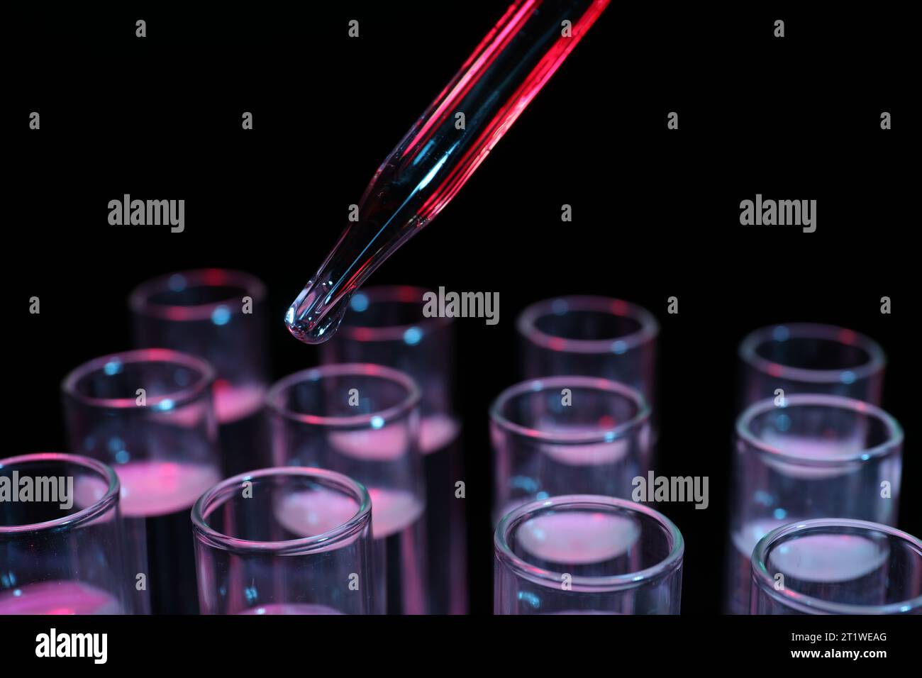 Dripping reagent into test tube on black background, closeup ...