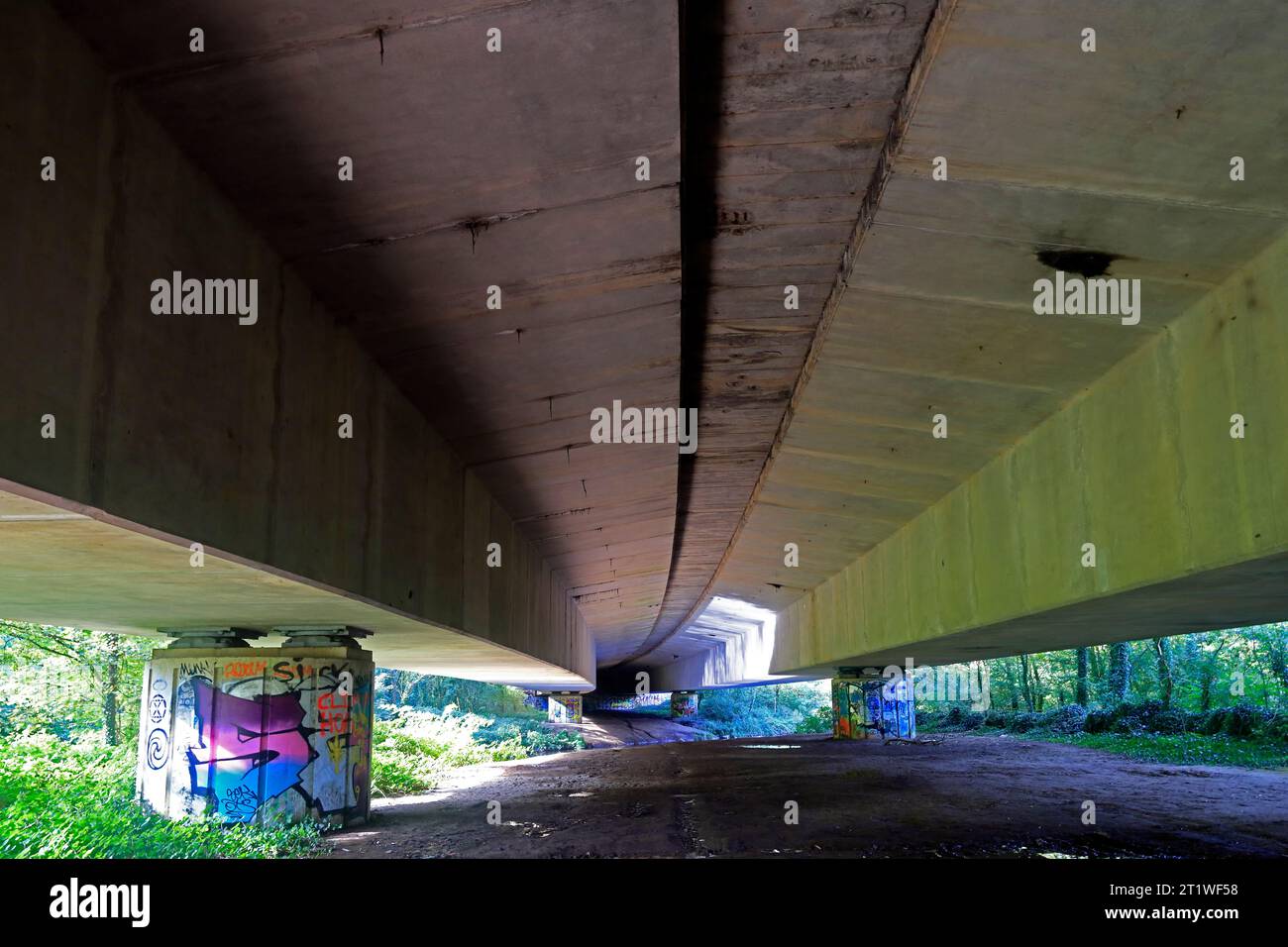 Cardiff views, the Ely Trail path and cycle route at Leckwith, Cardiff ...