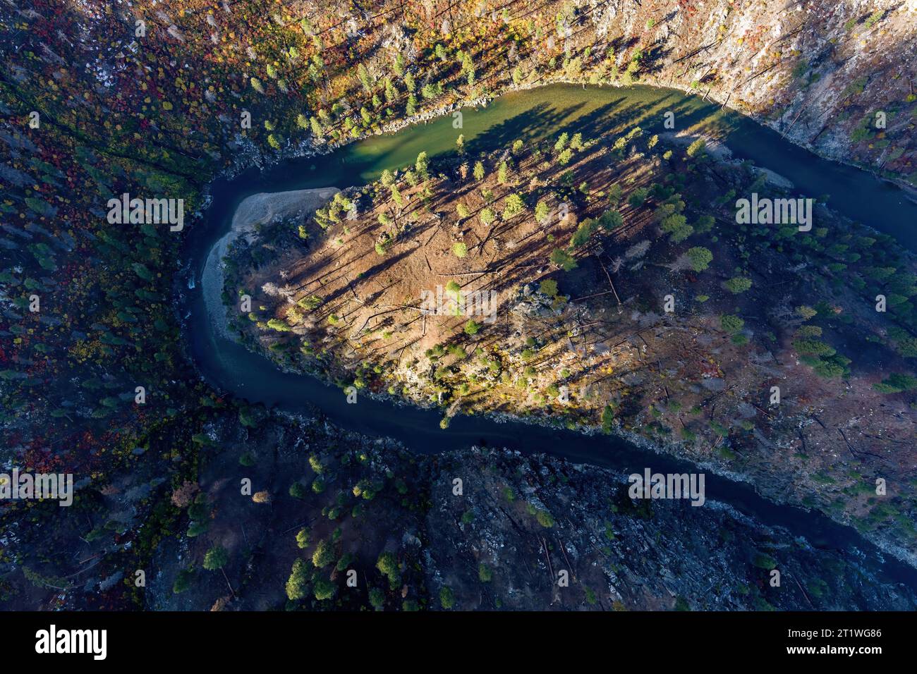 River winds through an old forest burn area Stock Photo - Alamy