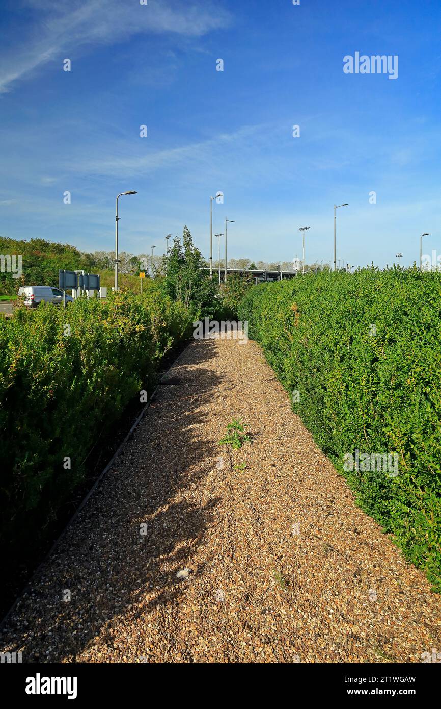 Pea shingle pathway on a traffic island, Leckwith, Leckwith, South ...