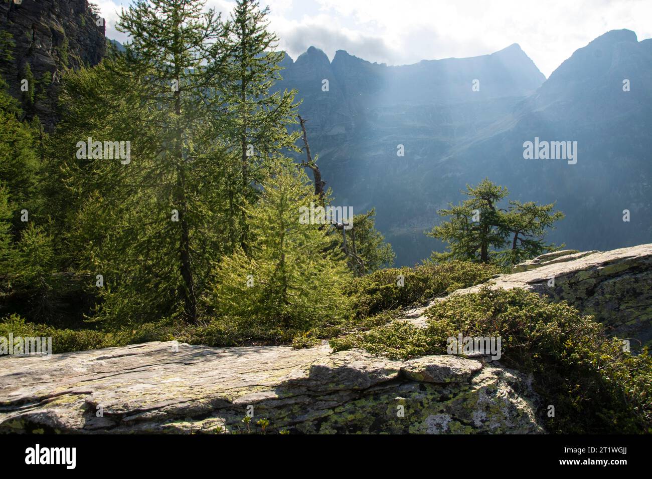 Faszinierender Blick in den steilen Talkessel des Val Nedro im Tessin ...