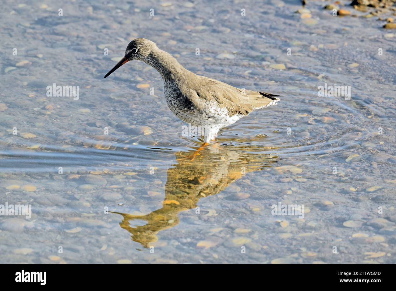 Reflection hi res hi-res stock photography and images - Alamy