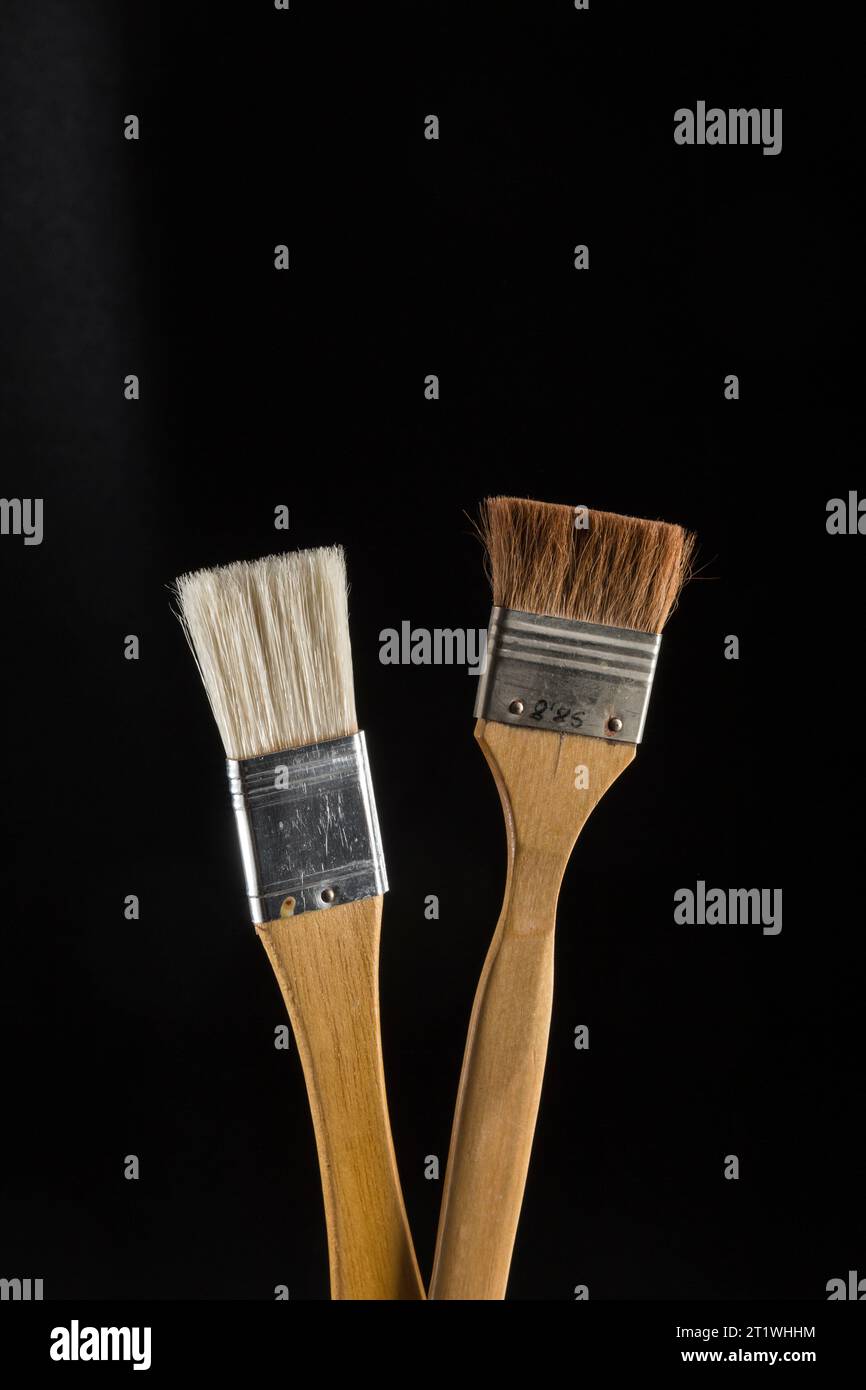 two small brushes in light tones, with their yellow bristles ...