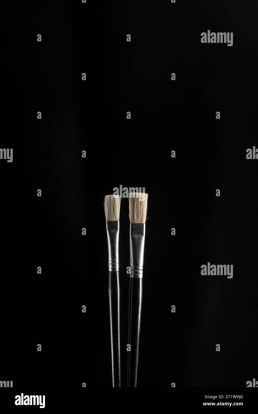 two brushes with dark stick, portrayed with a black background ...