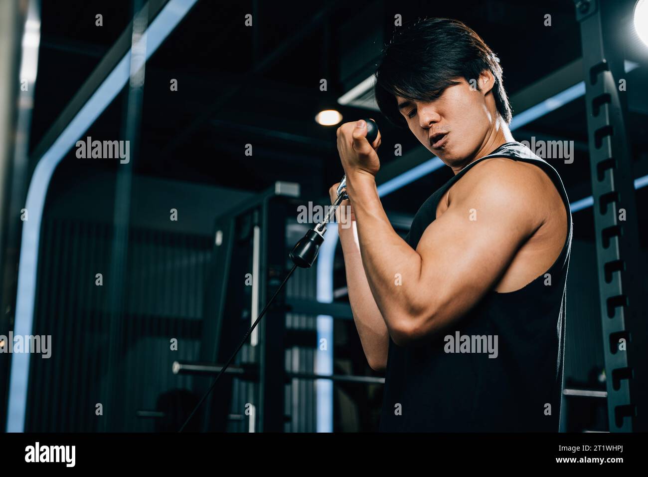 A man doing cable triceps pull ups with a heavy weight Stock Photo - Alamy