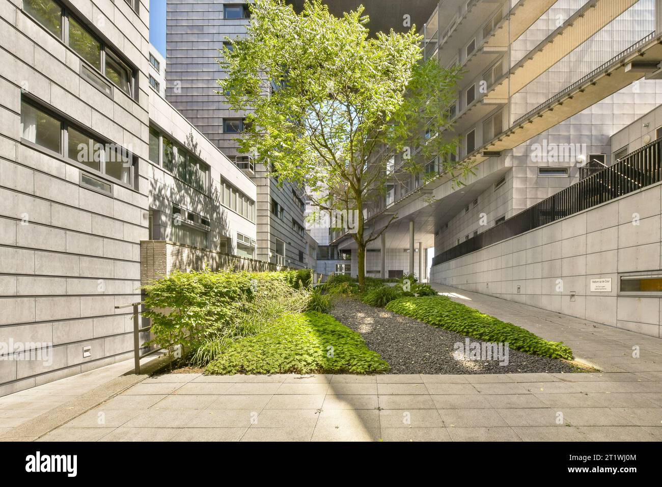 a tree in the middle of an urban area with buildings and plants growing ...
