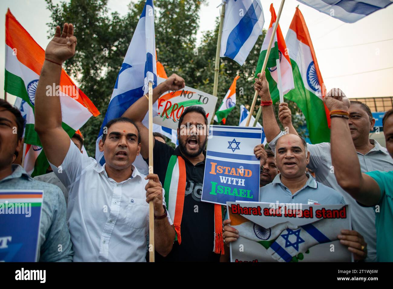 New Delhi, India. 15th Oct, 2023. Supporter of the BJP (Bharatiya ...