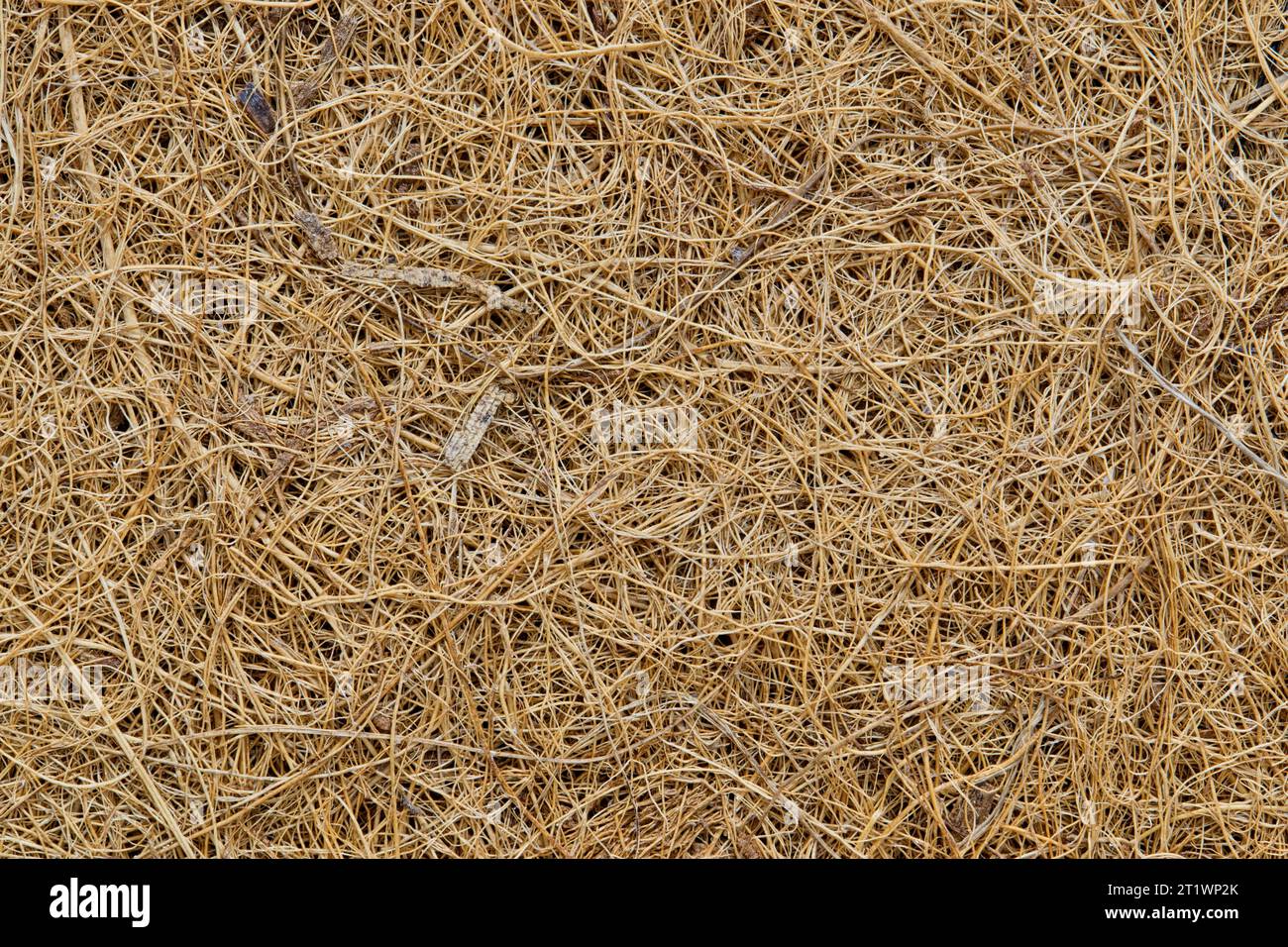 Coconut fiber solid background image. Material is used for many ...