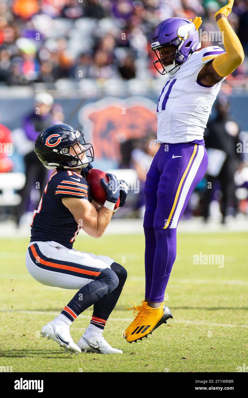 Trent taylor bears hi-res stock photography and images - Alamy