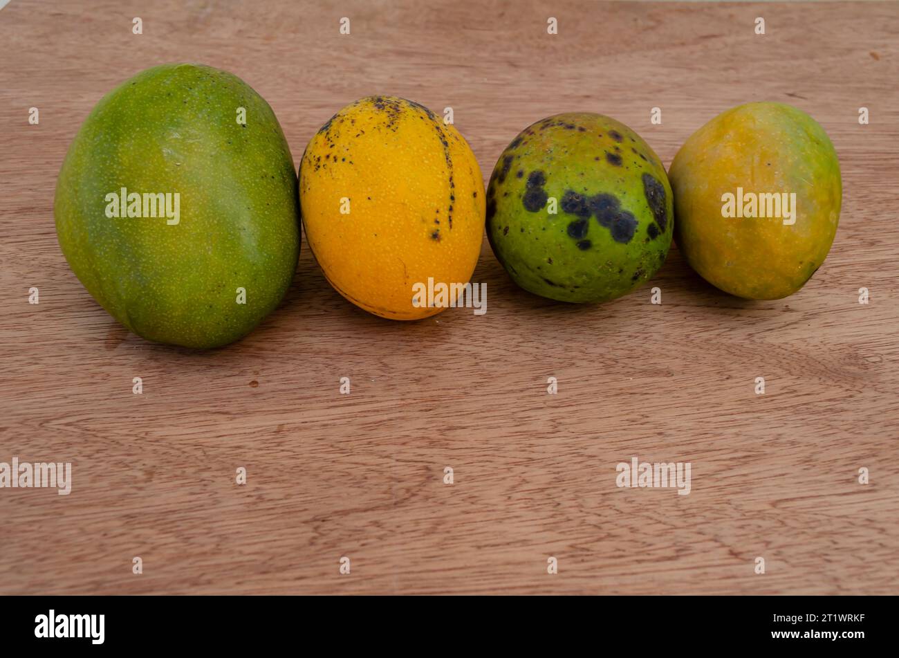 Varieties Of Mangoes Stock Photo - Alamy