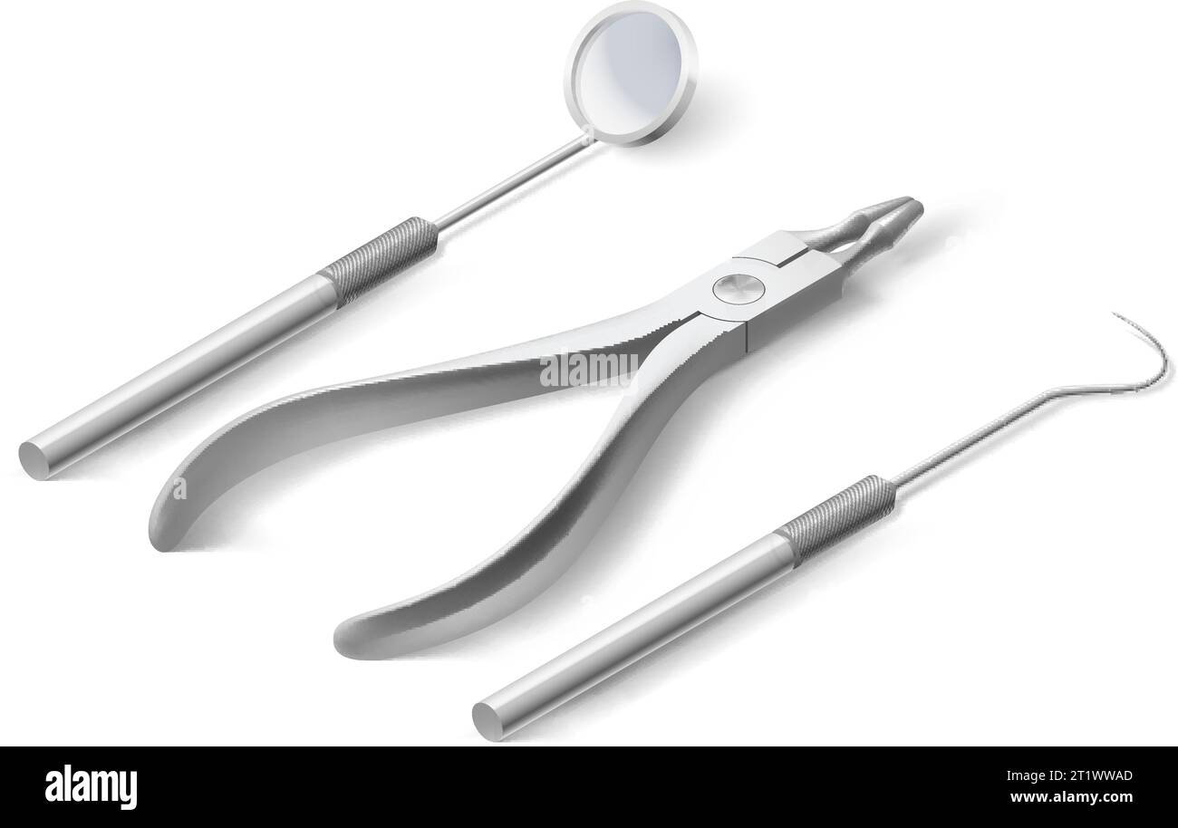 Basic Dentist Instruments and Tools Laid out Against White Background ...