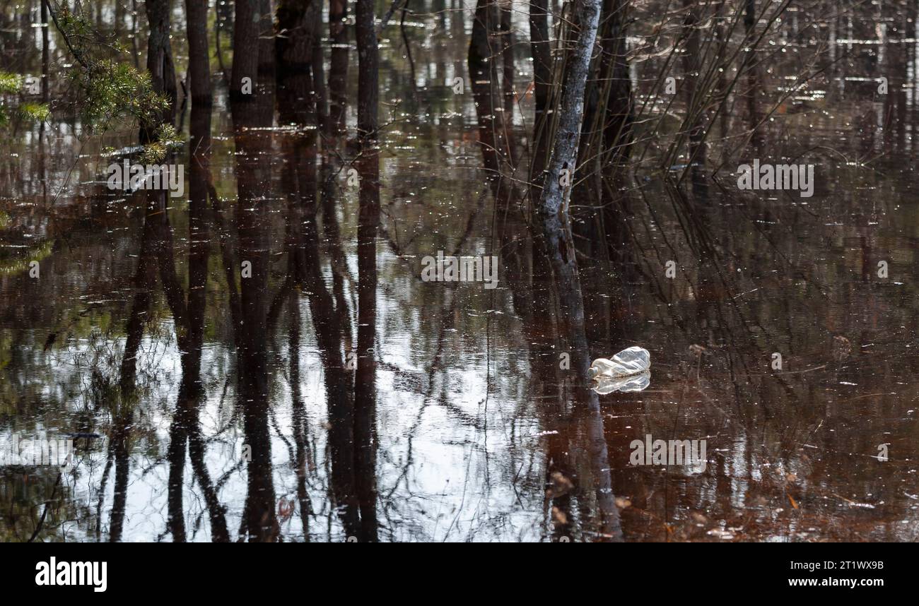 Plastic bottle in muddy water in the forest, thrown away by man ...