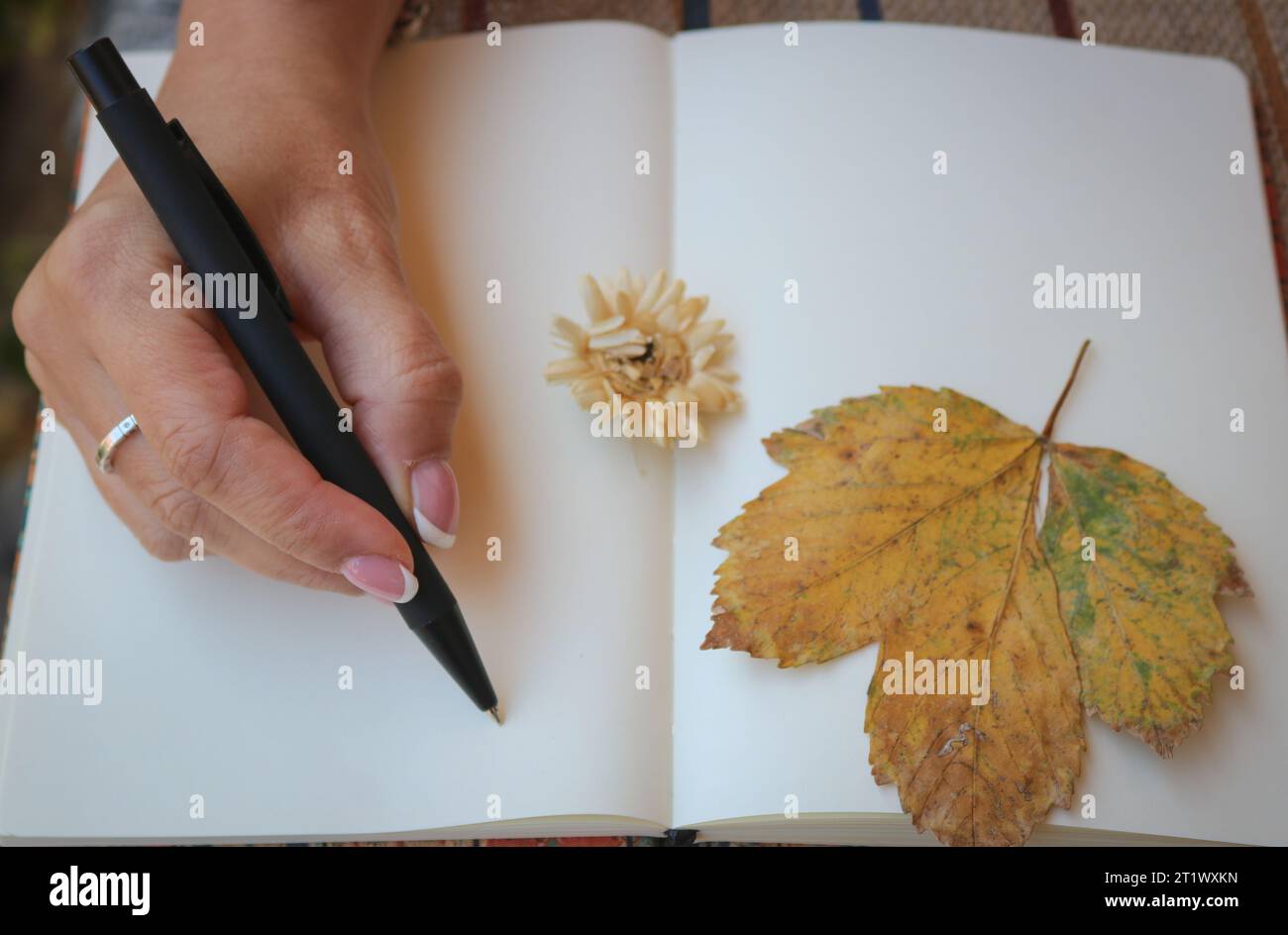 Notebook and autumn leaves Stock Photo - Alamy