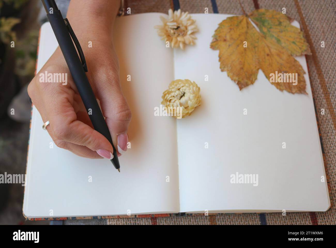 Notebook and autumn leaves Stock Photo - Alamy