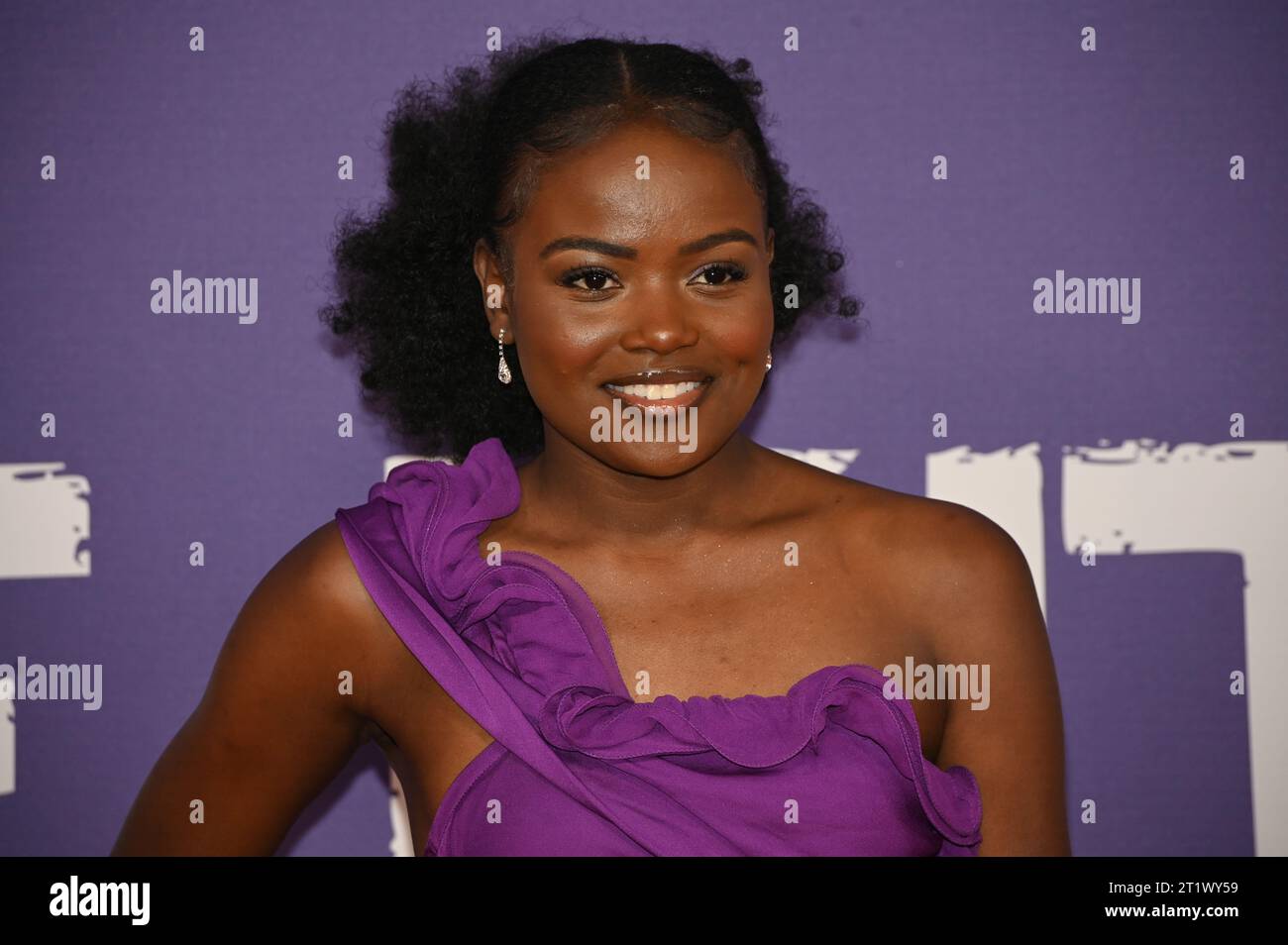Royal Festival Hall, London, UK. 15th Oct, 2023. Sherrie Silver attends ...